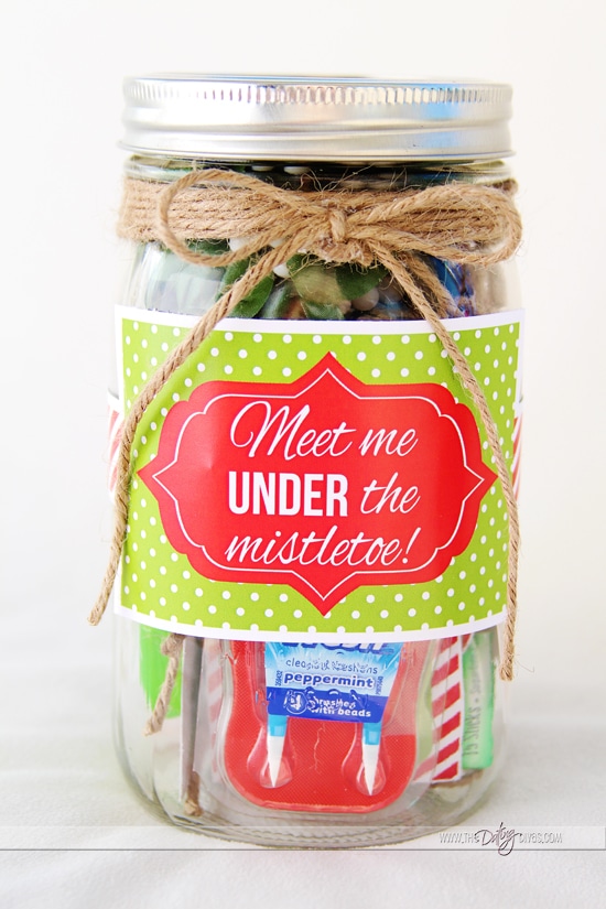 DIY Mistletoe Kit: A Holiday Gift You'll Both Enjoy!