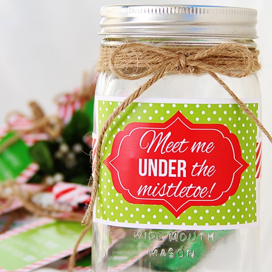 DIY Mistletoe Kit: A Holiday Gift You'll Both Enjoy!